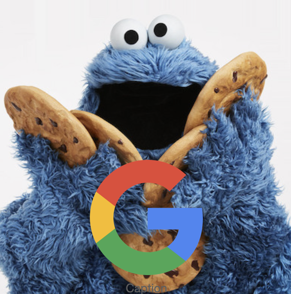 Google Uncomfortable with Reining in Cookie Monster – Bjorn Munson